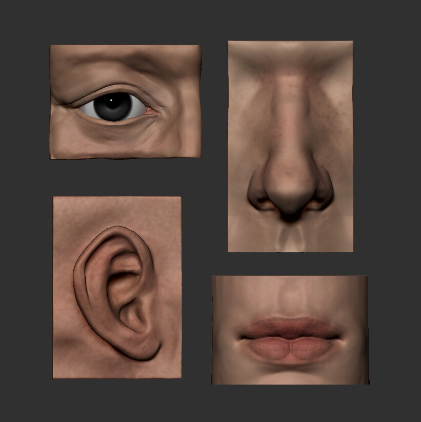 ArtStation - Face Parts Study
