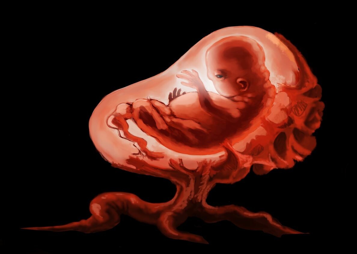 ArtStation - Alien Baby WIP