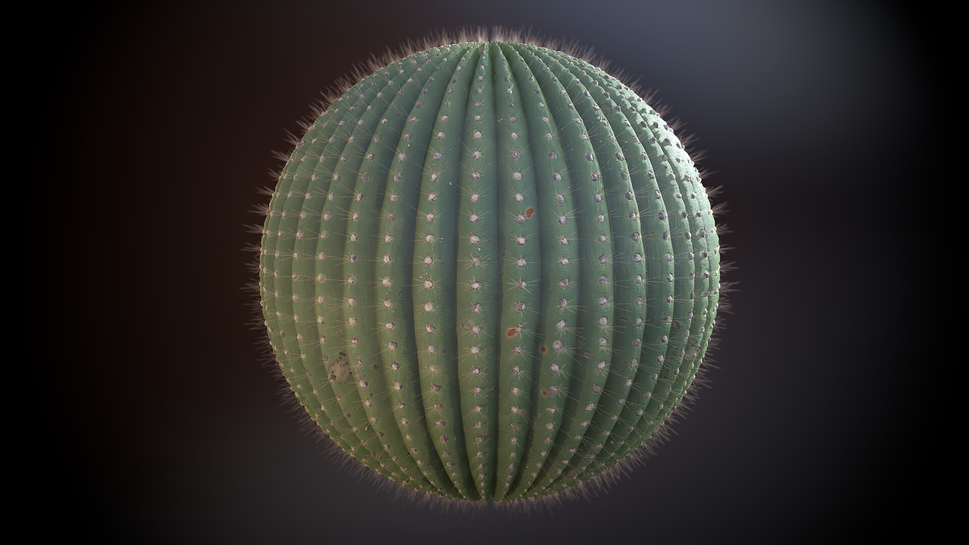 ArtStation - Substance Designer - Cactus material