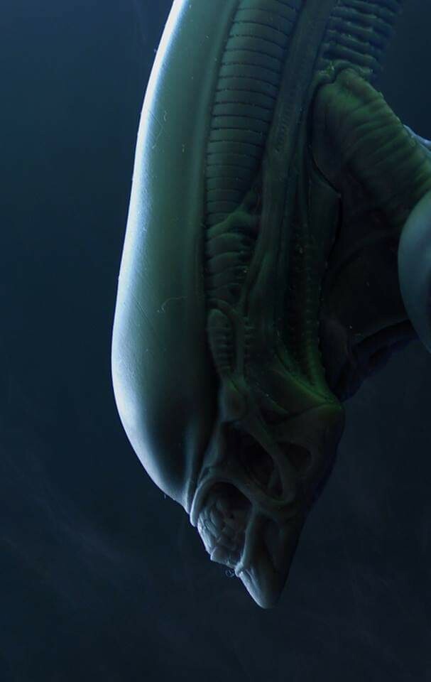 ArtStation - Alien Xenomorph