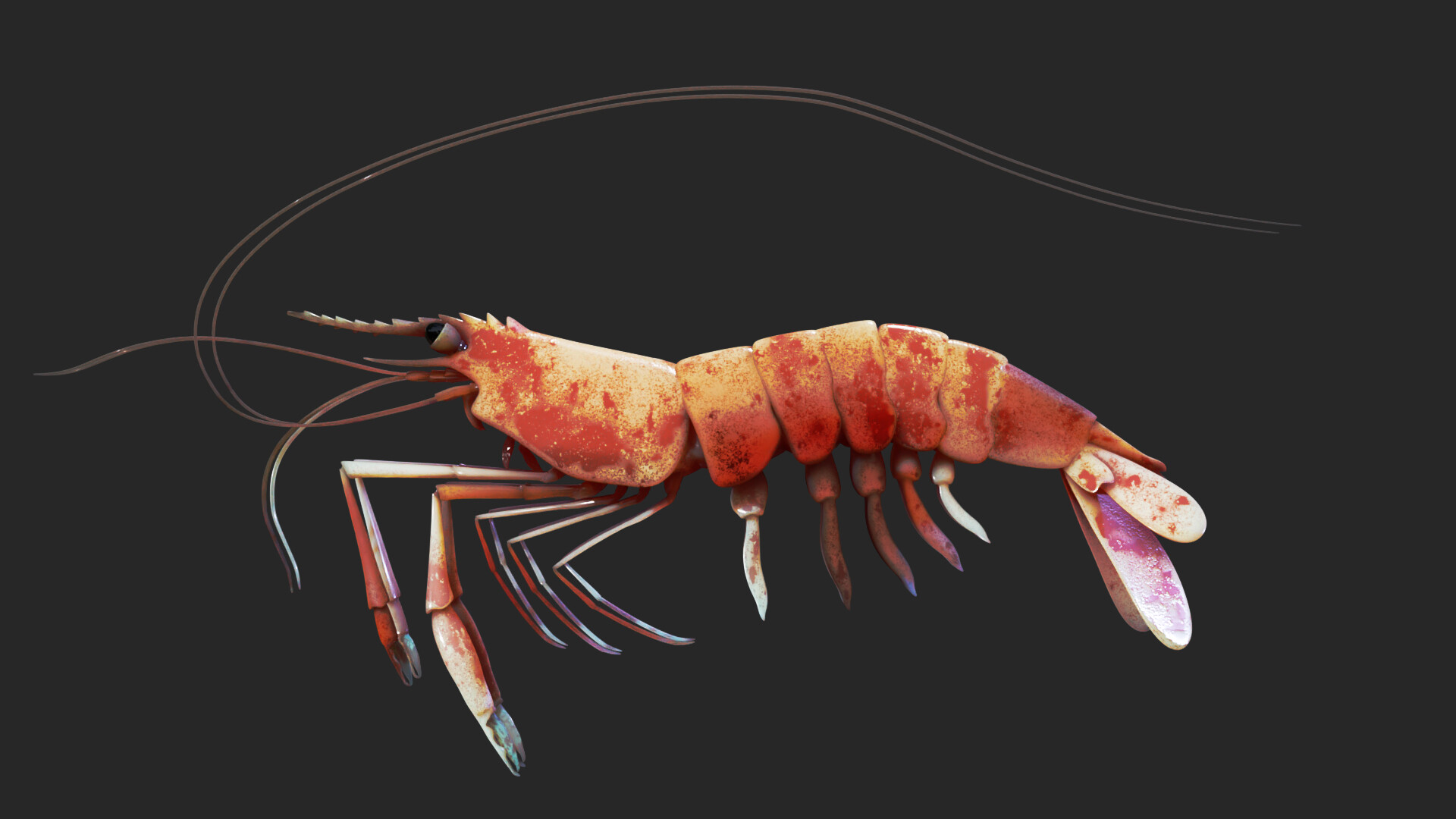 ArtStation - Shrimp