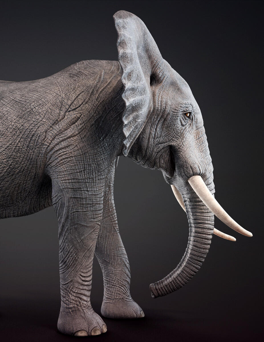 ArtStation - Elephant