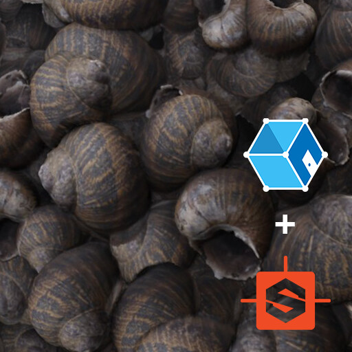 ArtStation - Photogrammetry + Procedural - Snail Shells Material