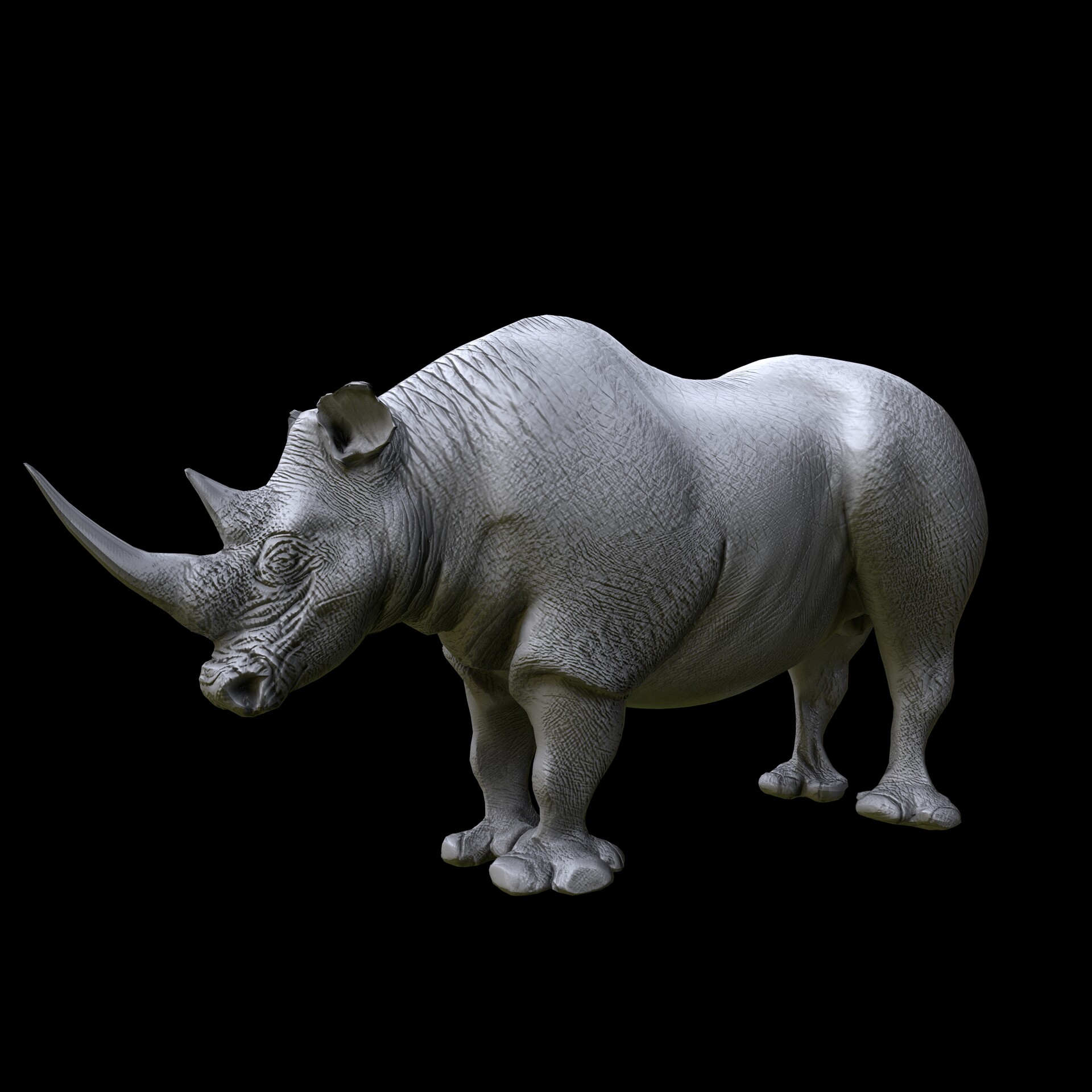 ArtStation - Rhino