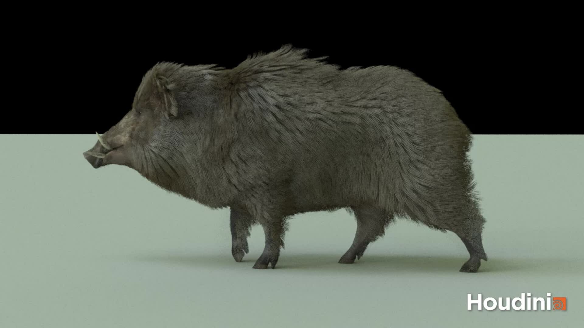 ArtStation - Boar cycle