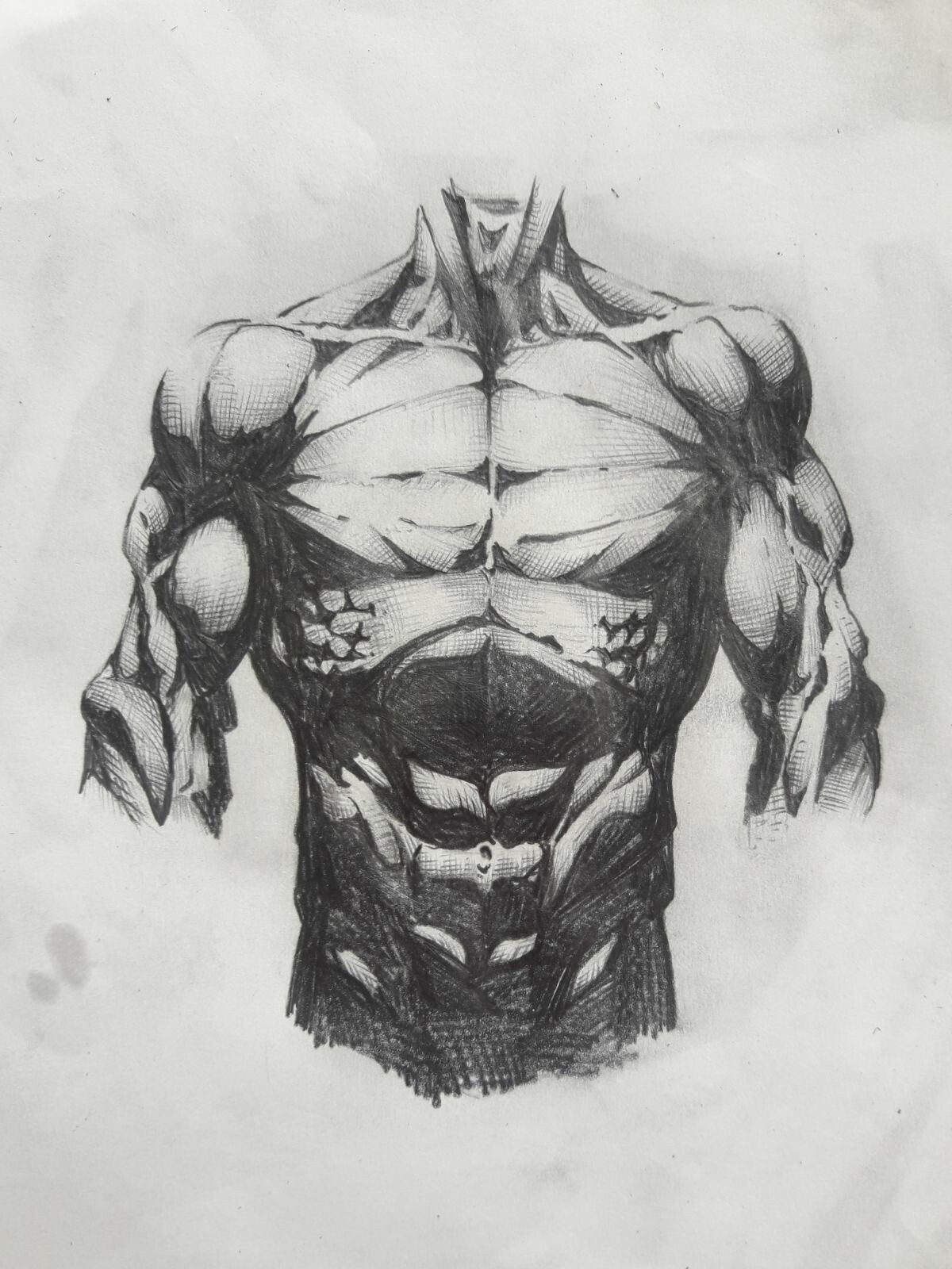ArtStation - Human anatomy study, (graphite)