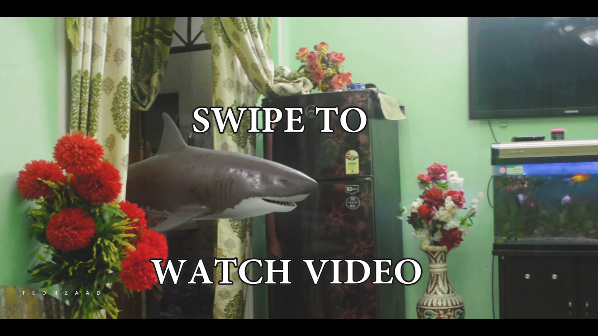 ArtStation - Who Let's the Shark out 🦈