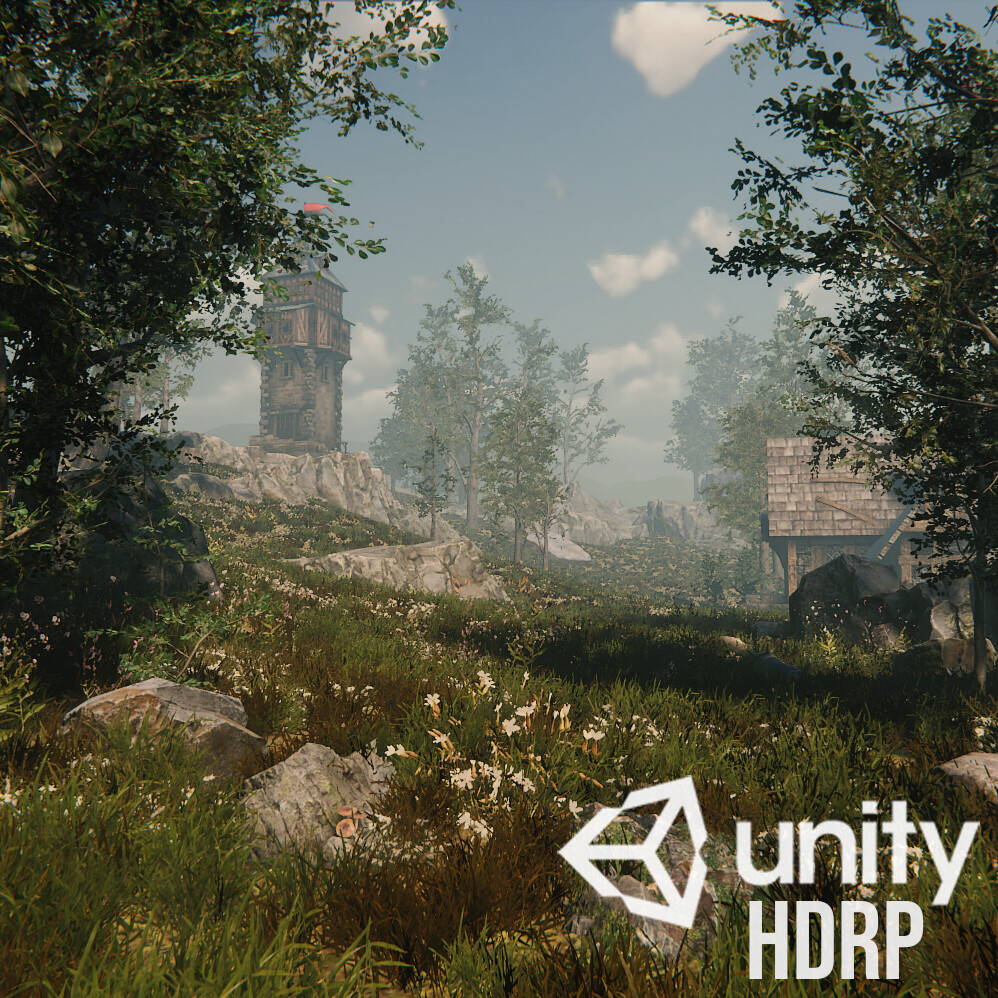 Léo Labenne - Environment