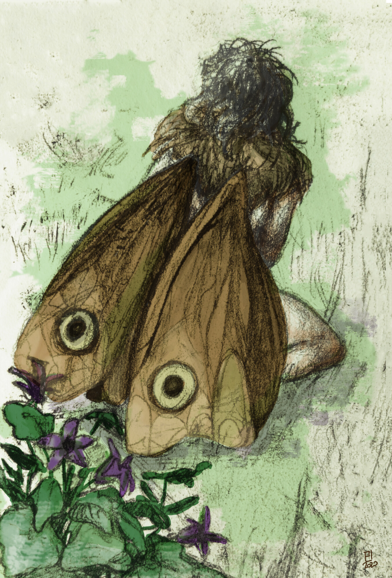 ArtStation - Moth fairy