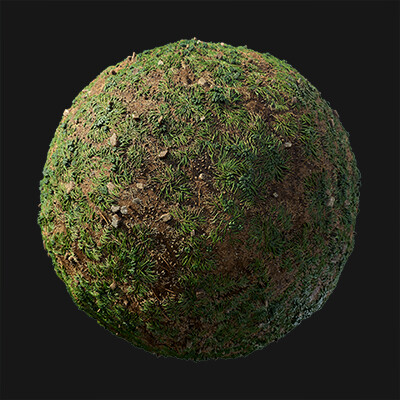 ArtStation - Grass Ground Patch
