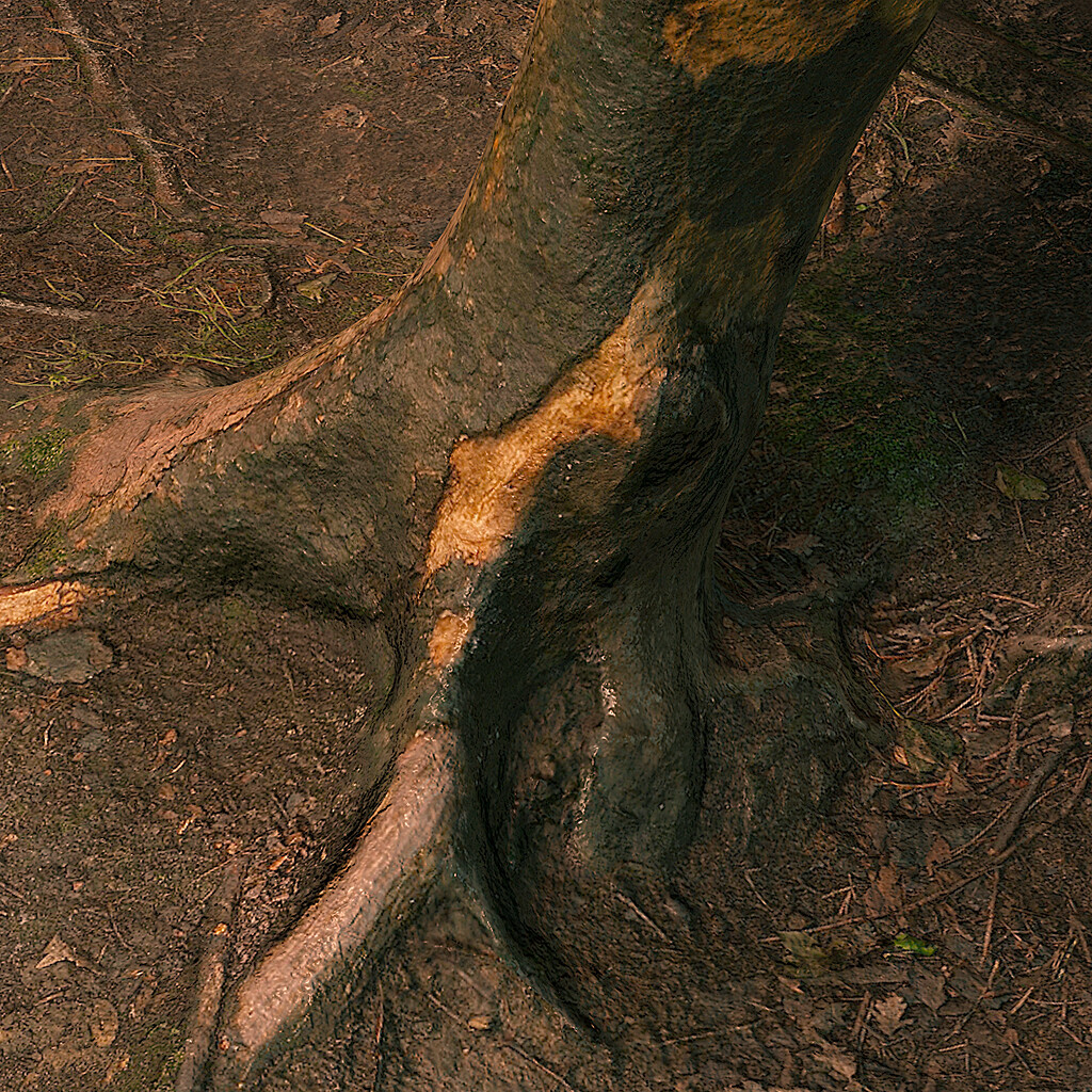 ArtStation - Photogrammetry Tree Base