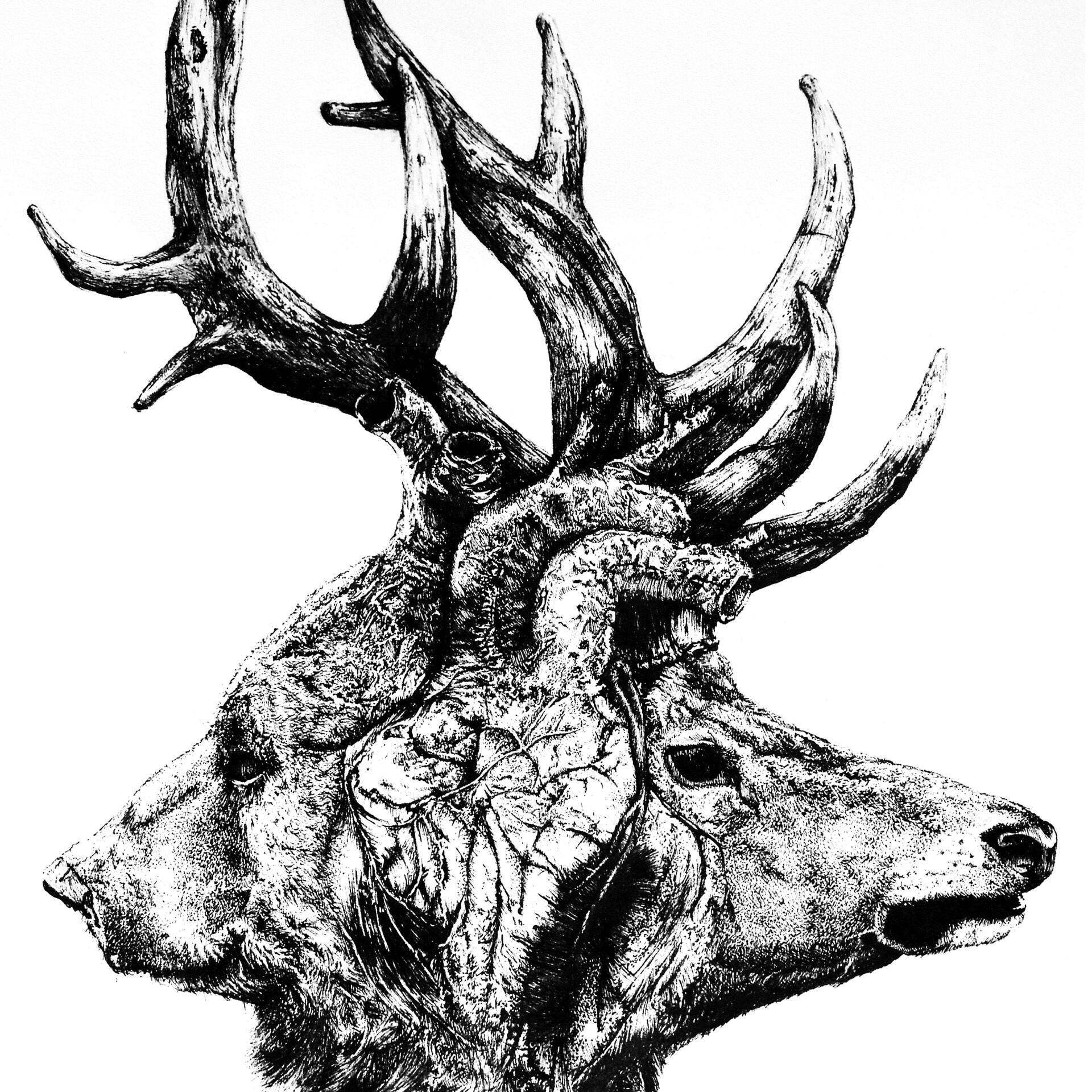 ArtStation - True Spirit