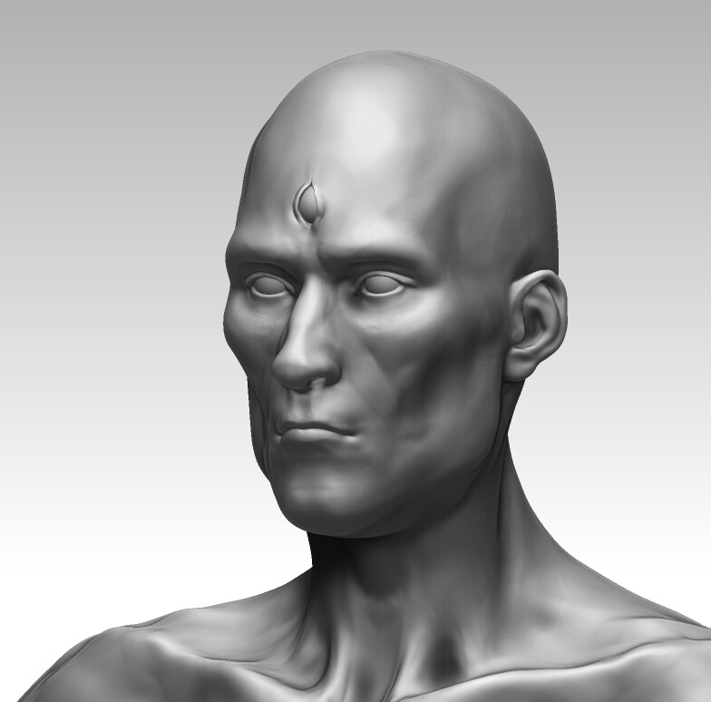 ArtStation - Bust Studies