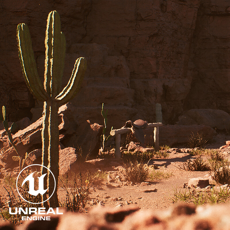 ArtStation - Desert Timelapse UE4 / Megascan Project