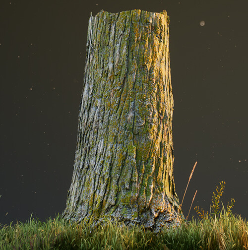 ArtStation - Tree Stump Photogrammetry - Modeling\Texturing