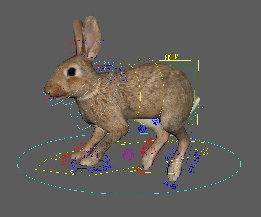 ArtStation - Rabbit Rigging