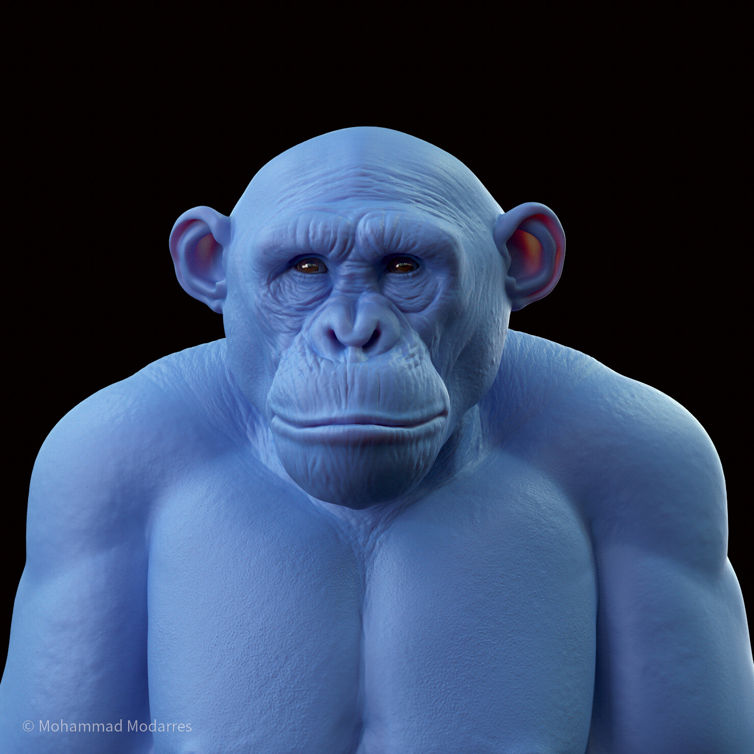 ArtStation - Chimp 2020