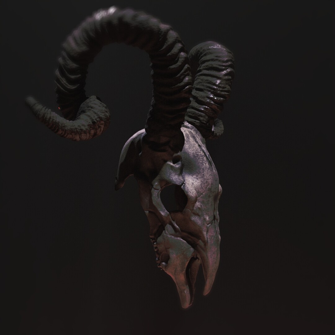 ArtStation - Ram Skull LOOP