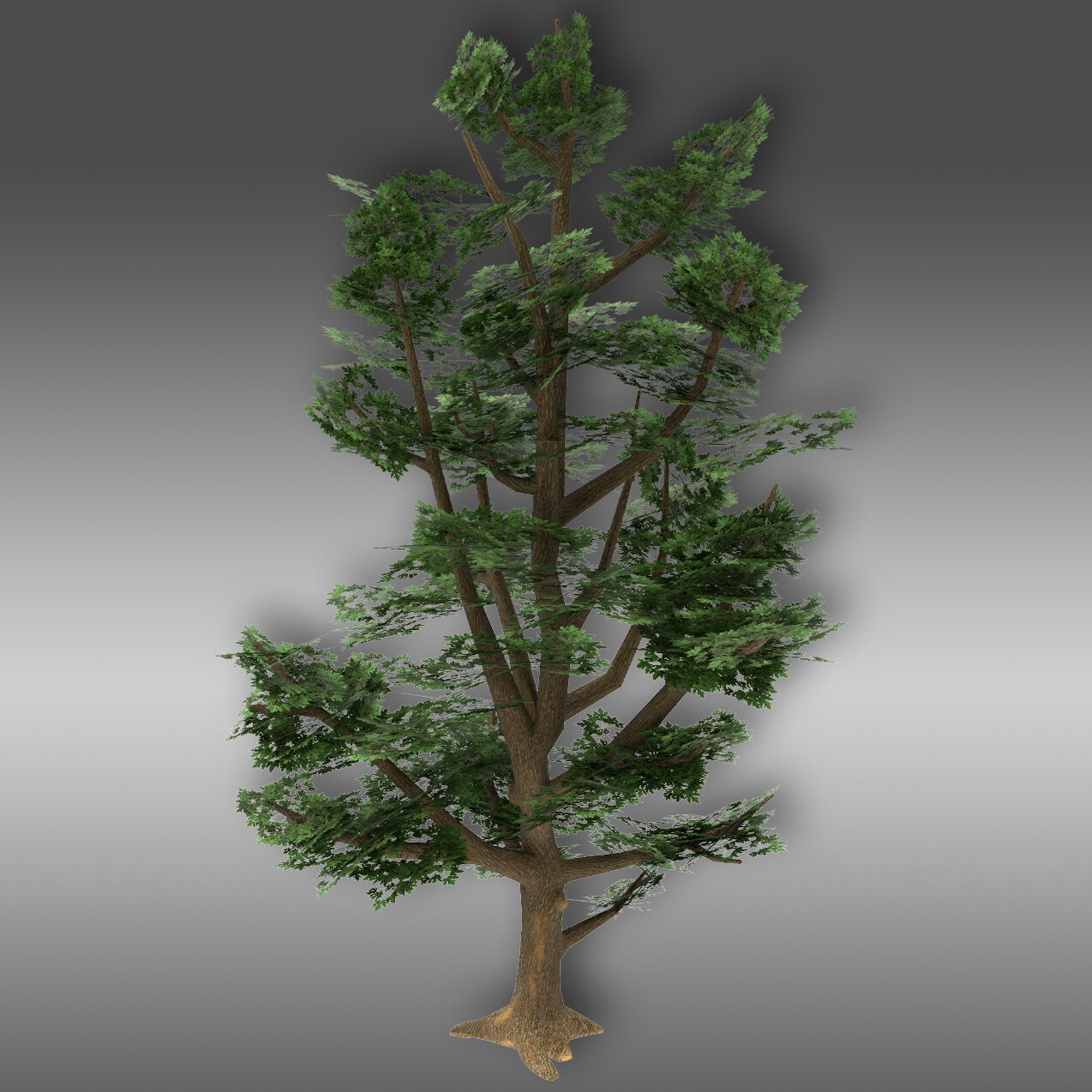 ArtStation - Large Maple Tree (Game Ready)