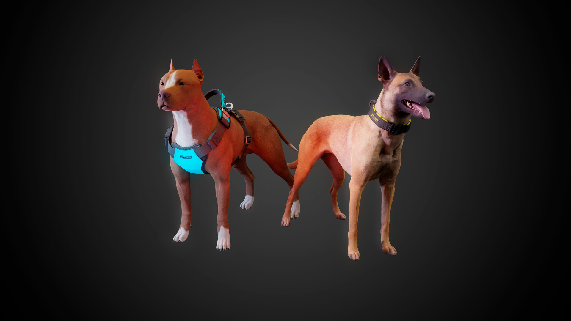 ArtStation - Dog Harness and Collar - 3D