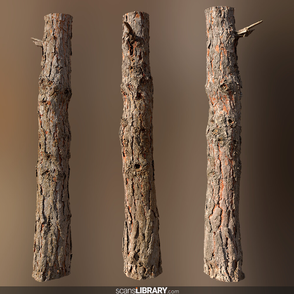 ArtStation - NEW - 3D Tree Scans