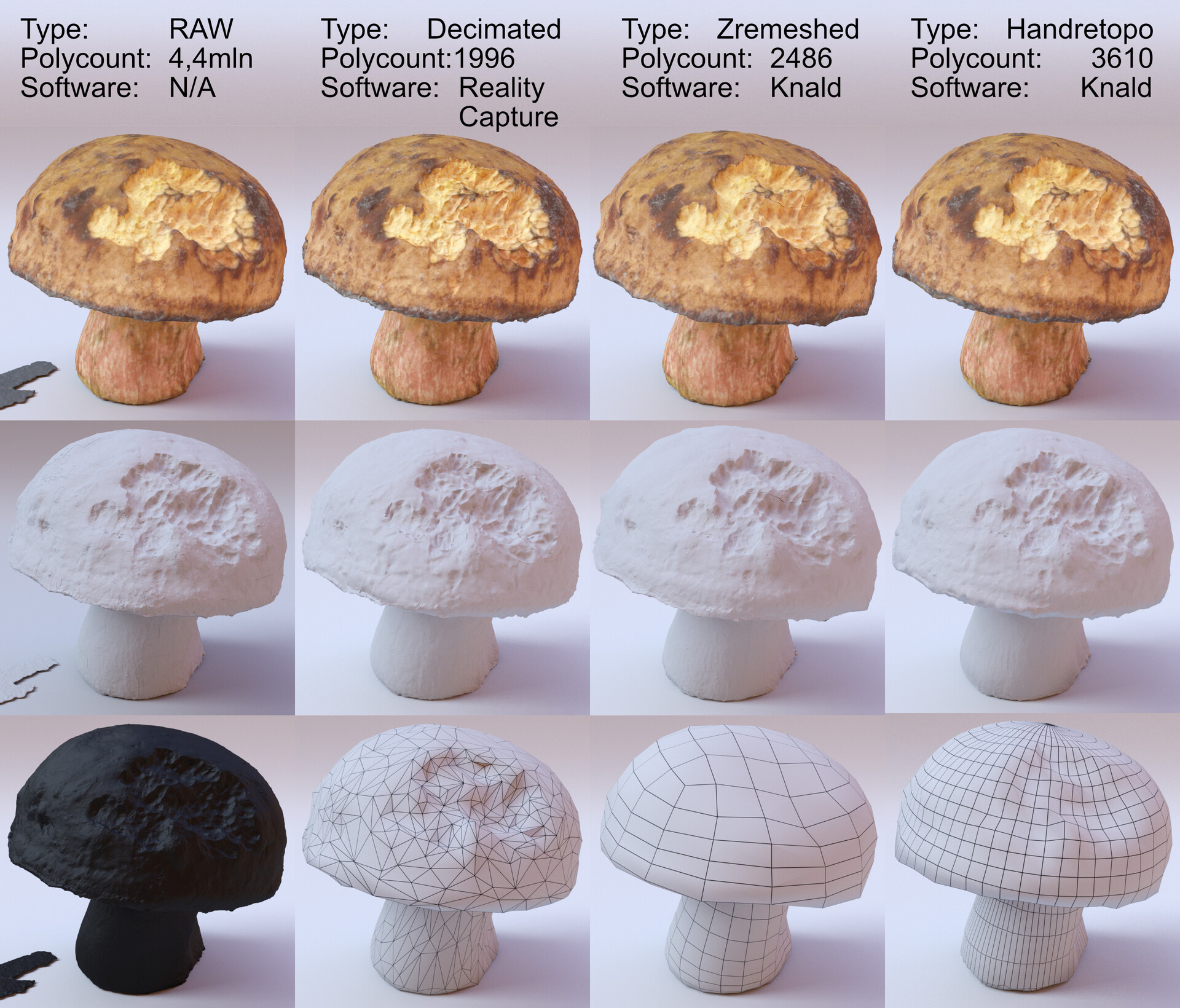 ArtStation - Macro Photogrammetry - Mushroom p2: Technical aspect