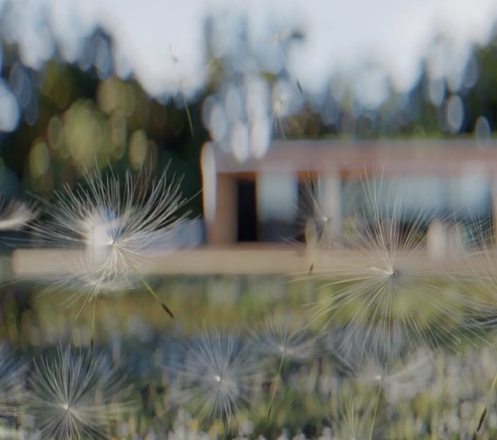 ArtStation - Making of Dandelion Blowing Particles Houdini Beginner ...