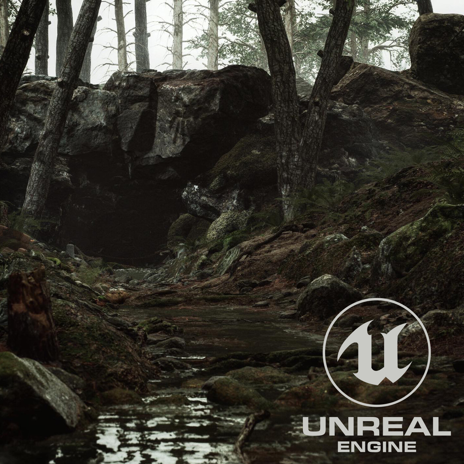 ArtStation - Portrait version My Winden Caves Environment Unreal Engine ...