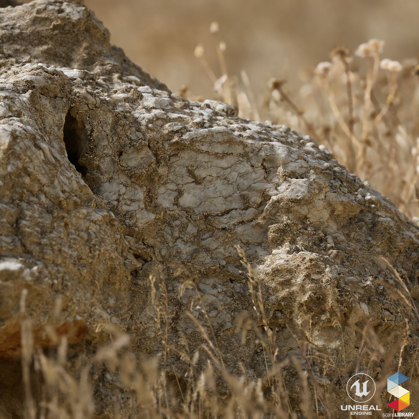 ArtStation - Arid Landscape