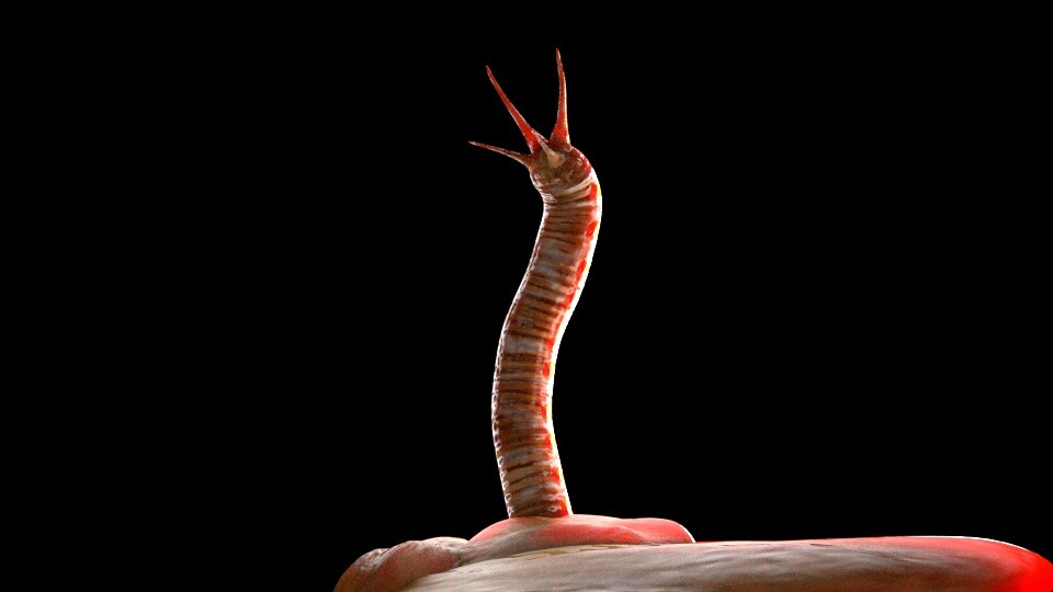 ArtStation - Tunnel Worm - PBR Animated Render