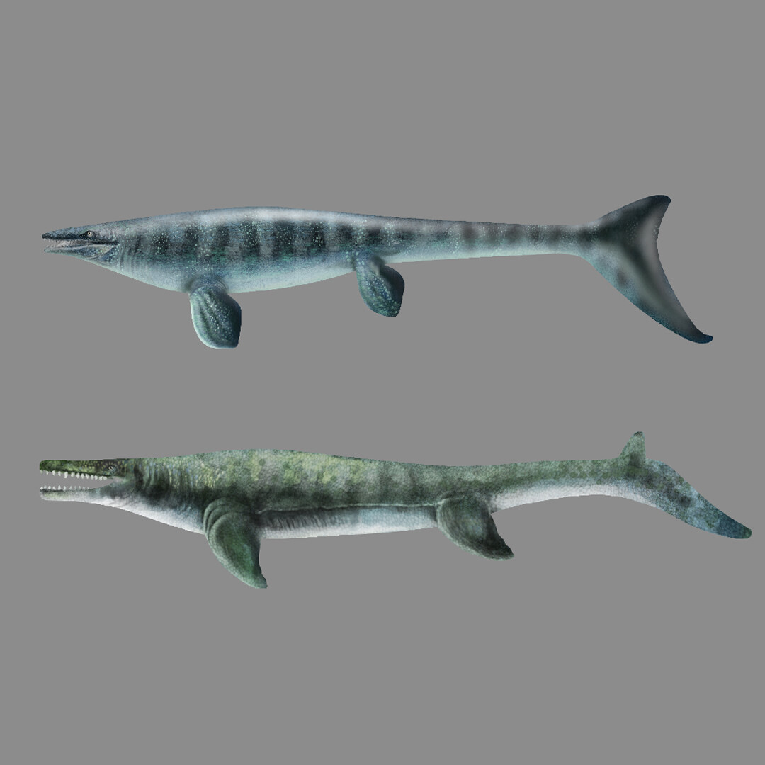 ArtStation - Mosasaurs