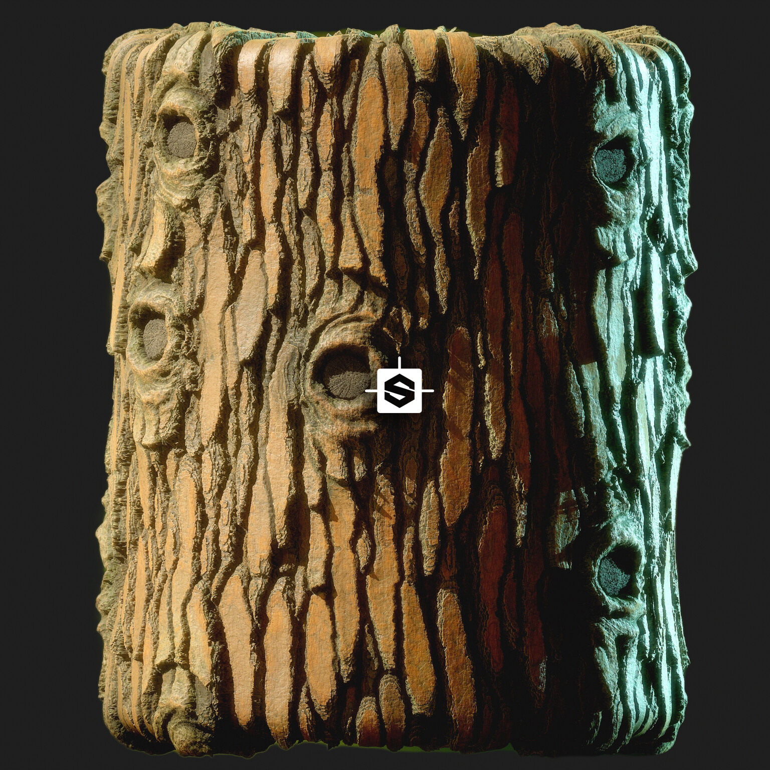 ArtStation - Tree Bark Study