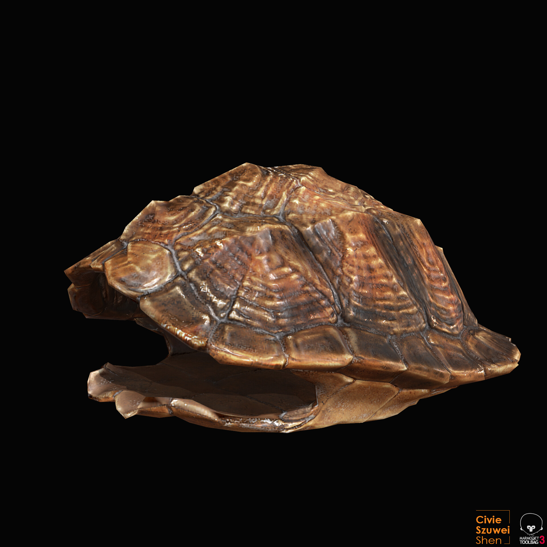 ArtStation - Tortoise Shell