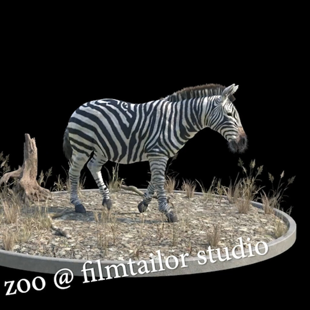 ArtStation - Zebra - Texturing / Grooming