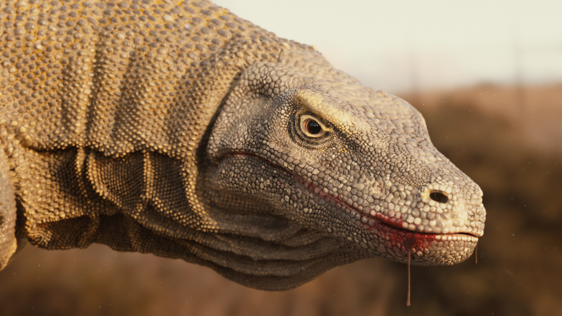 ArtStation - Komodo Dragon