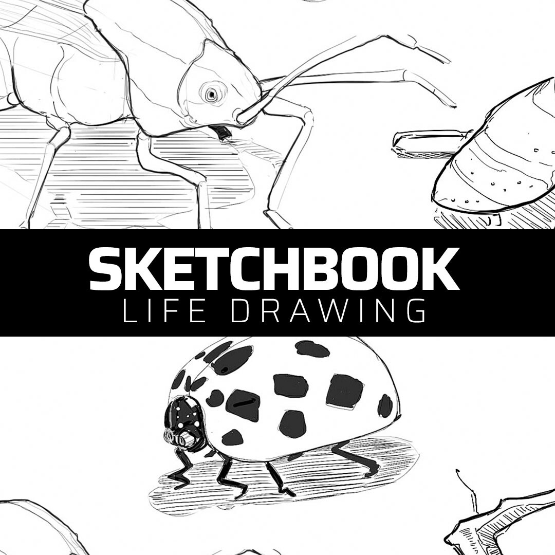 ArtStation - Sketchbook | Life Drawing