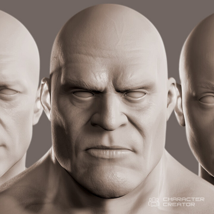 ArtStation - Human Anatomy Morphs for Character Creator 3