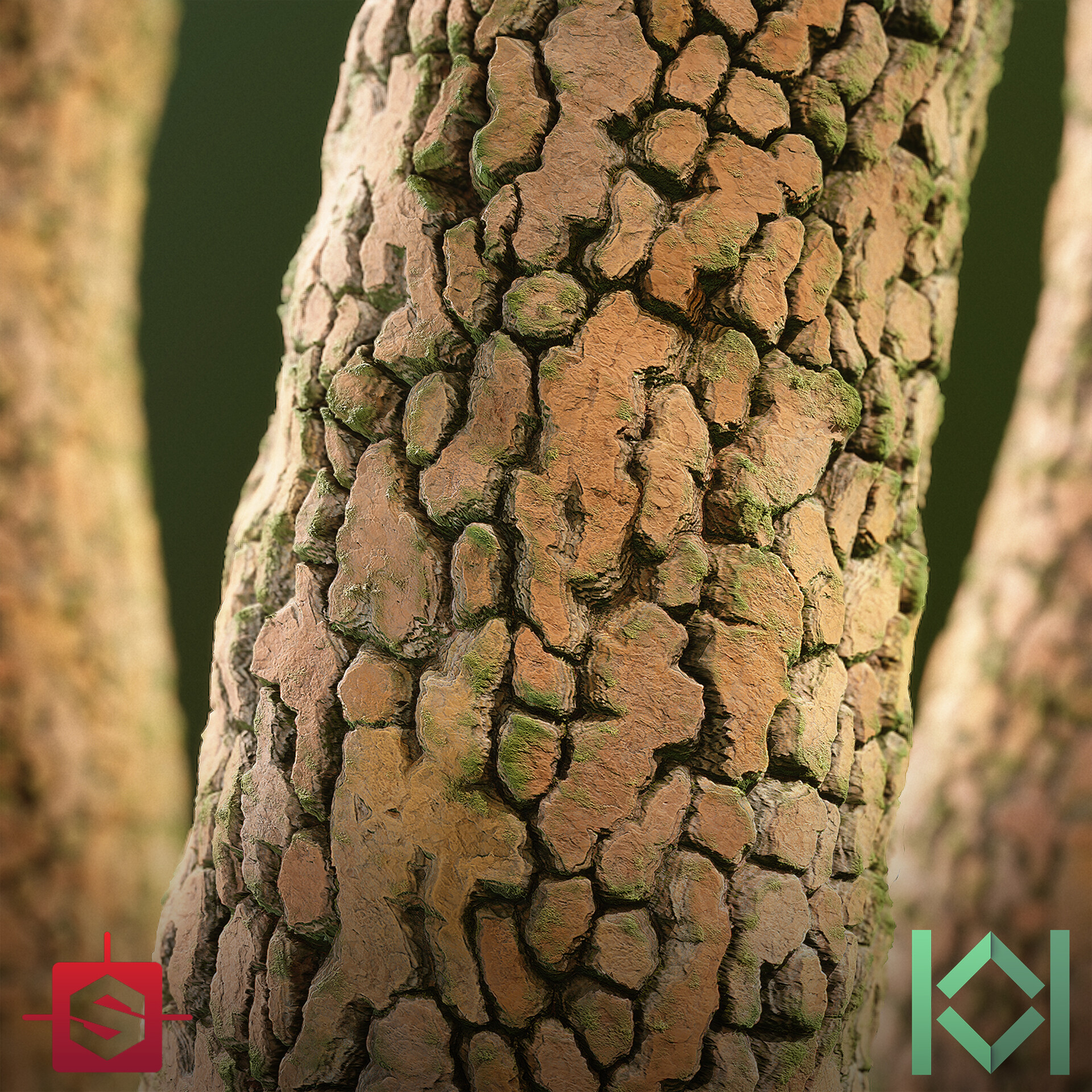 ArtStation - Pine Tree Bark - WIP