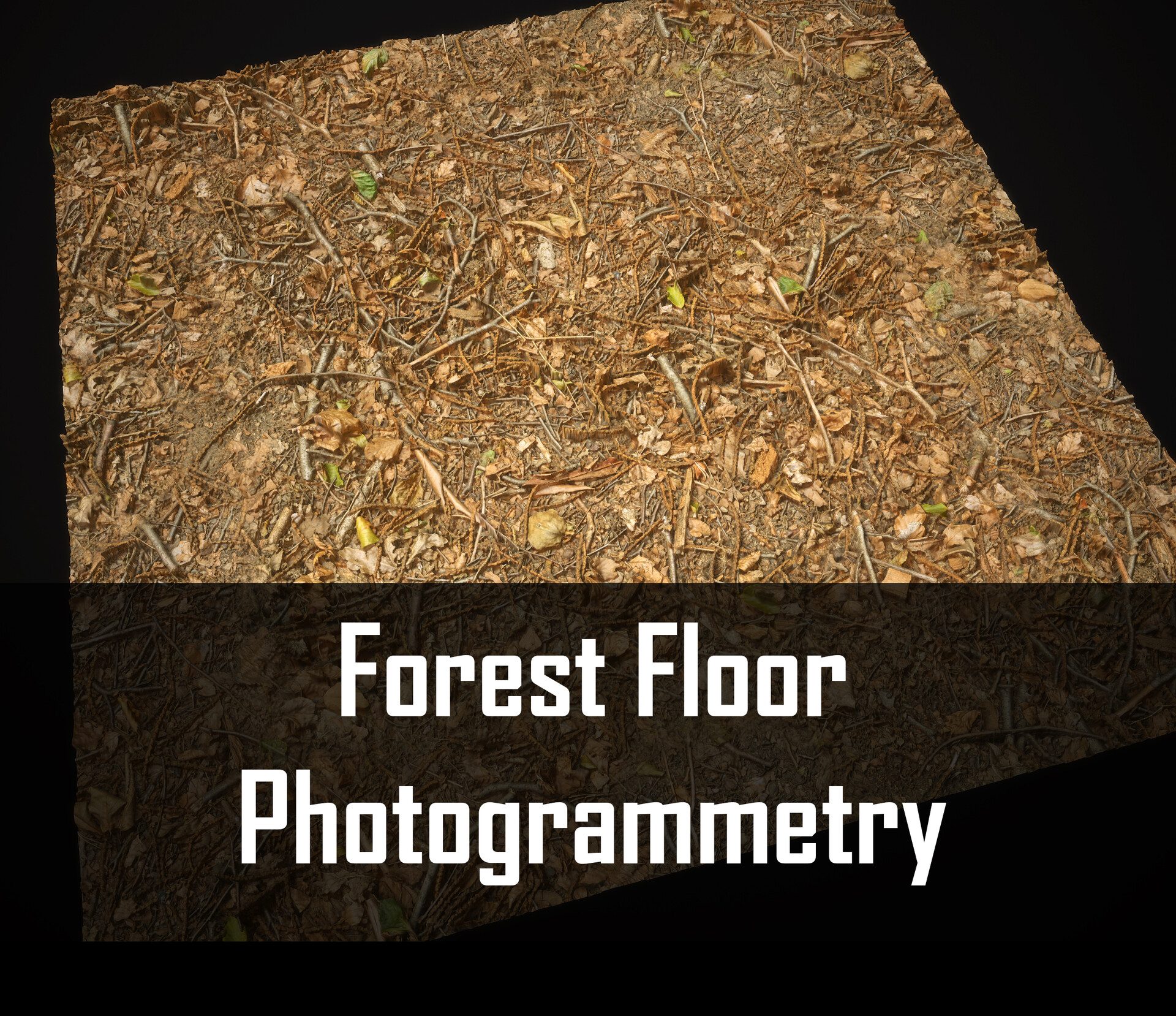 ArtStation - Forest Floor Photogrammetry