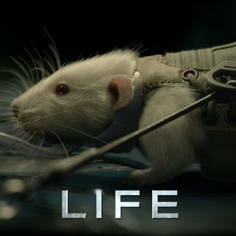 ArtStation - LIFE - rat