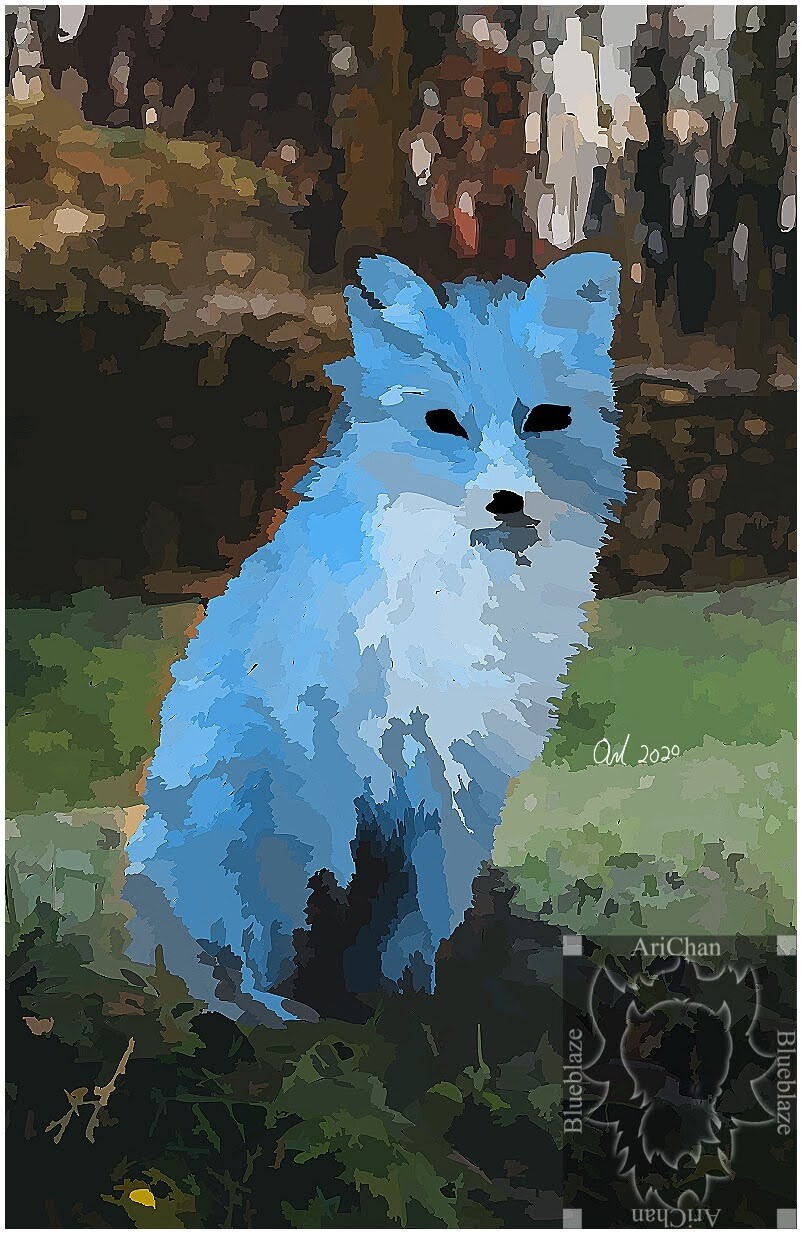 ArtStation - Blue fox