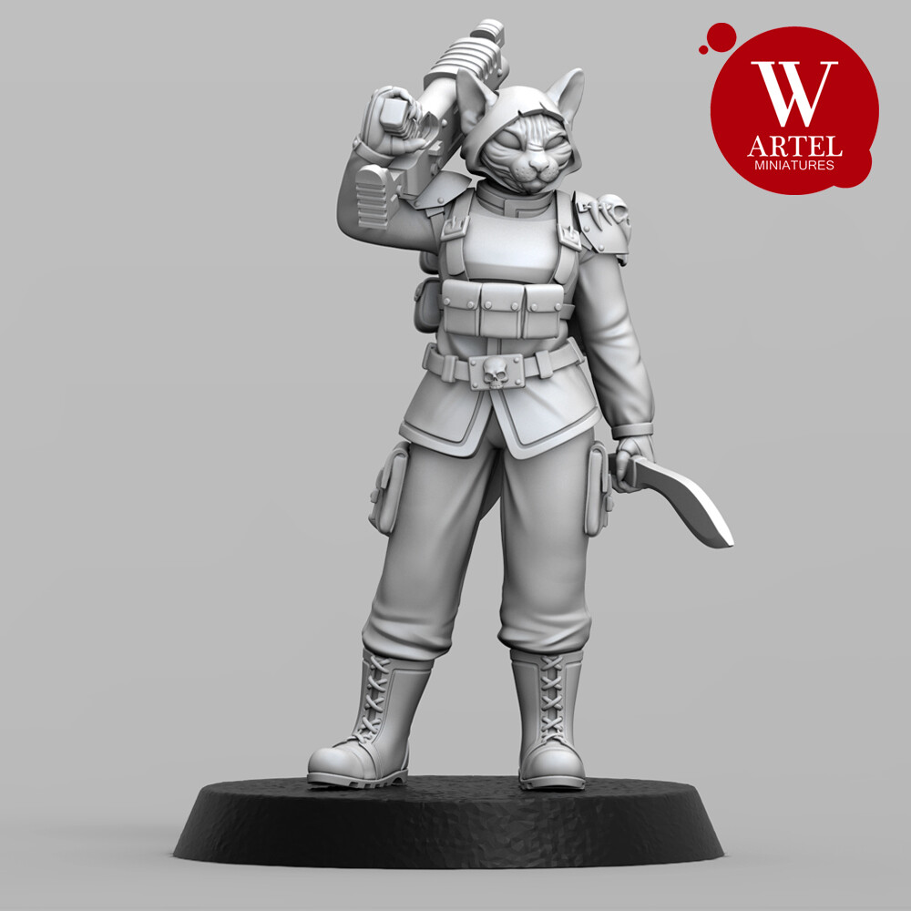 ArtStation - Catfolk soldier