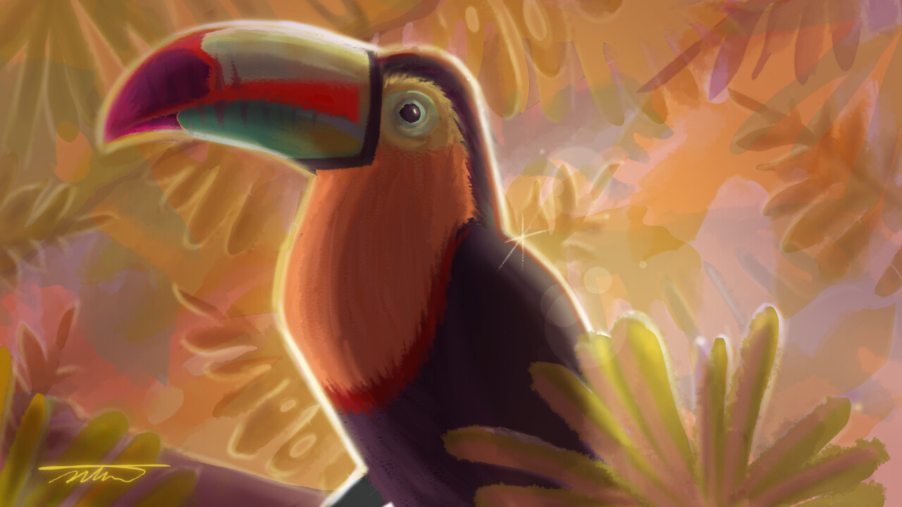 ArtStation - Toucan Tango
