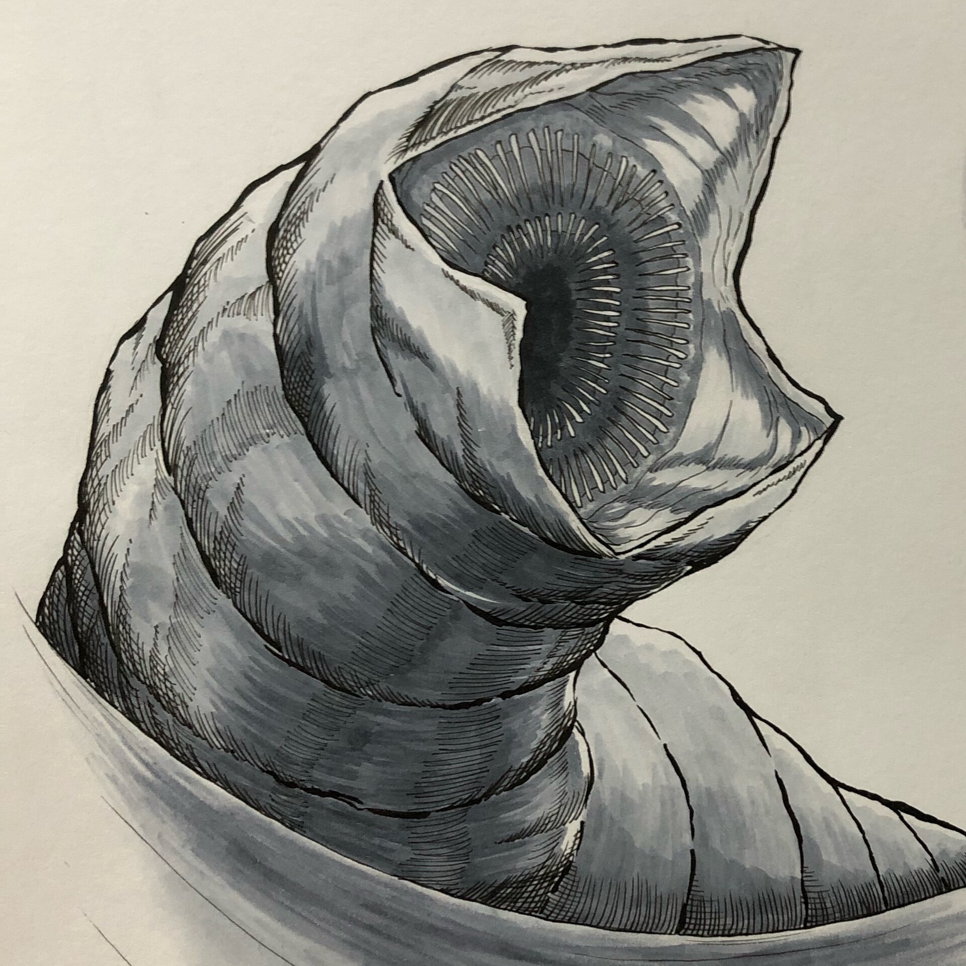 ArtStation - Shai-hulud