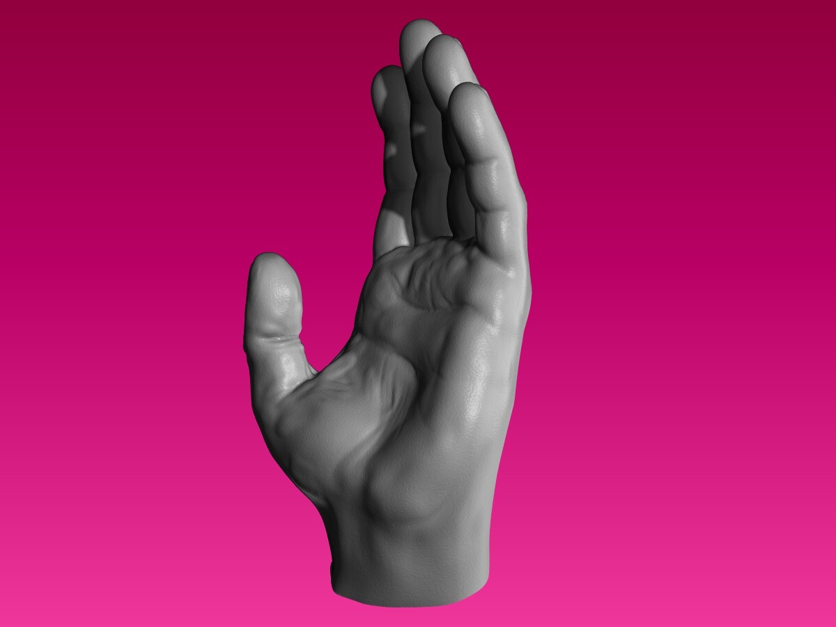 ArtStation - Anatomy of the human hand