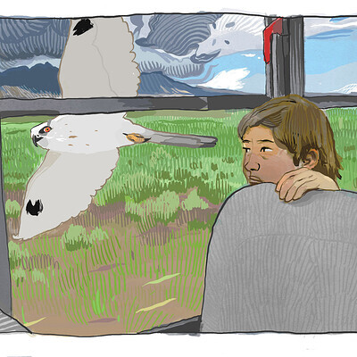 ArtStation - kid and hawk