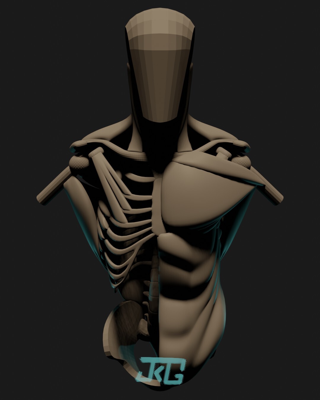 ArtStation - Anatomy Torso Study