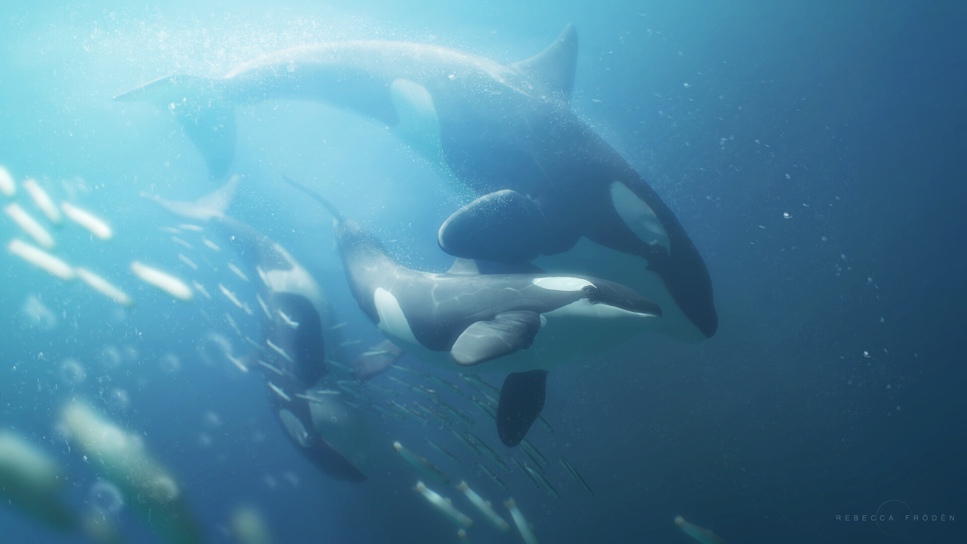 ArtStation - Orca