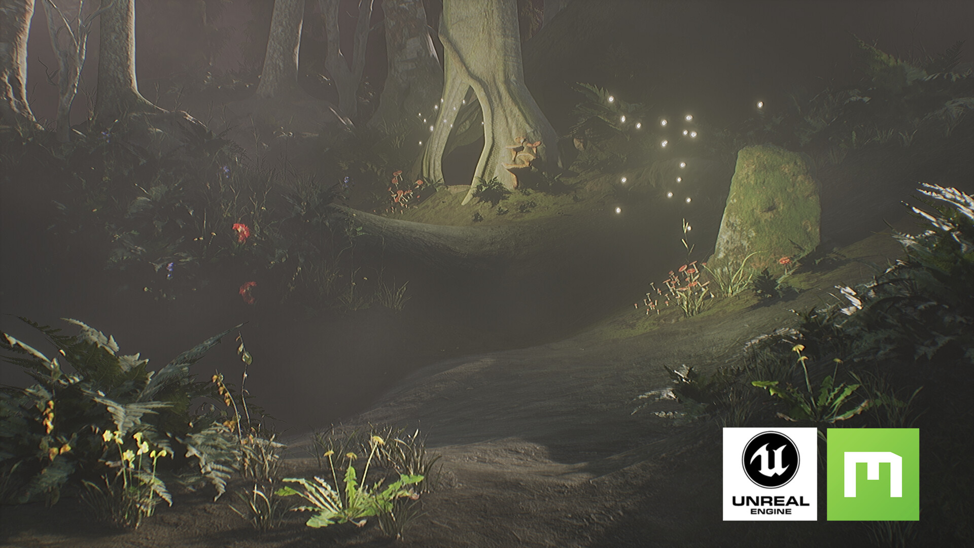 ArtStation - The Secret Forest