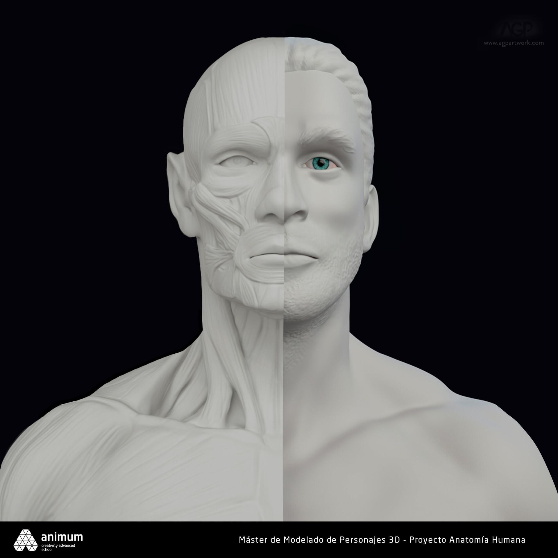 ArtStation - Study of Human Anatomy